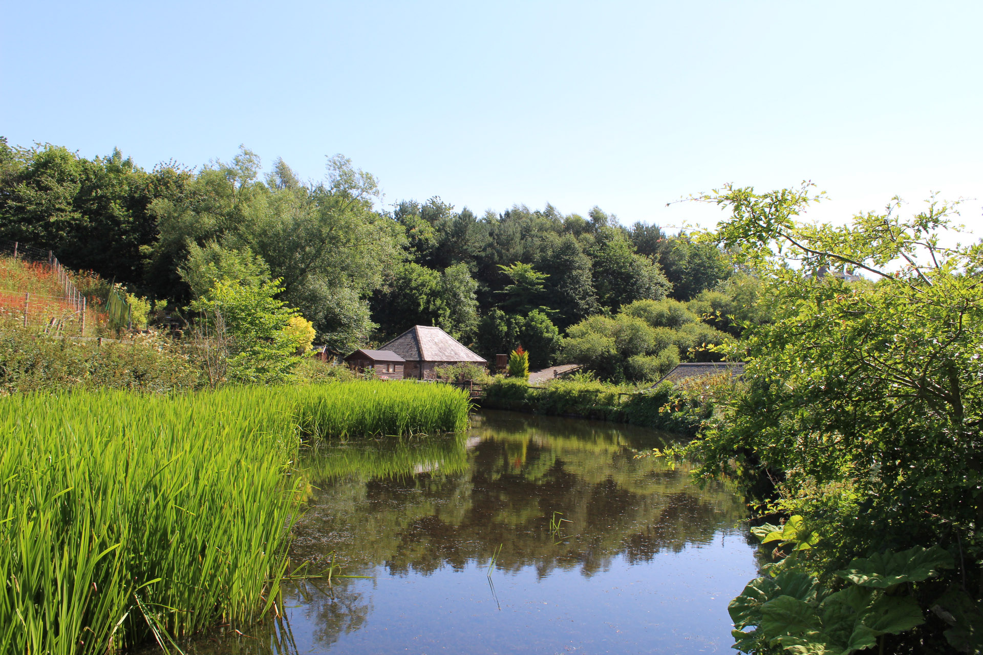 Our Plans - Mill of Benholm Enterprise
