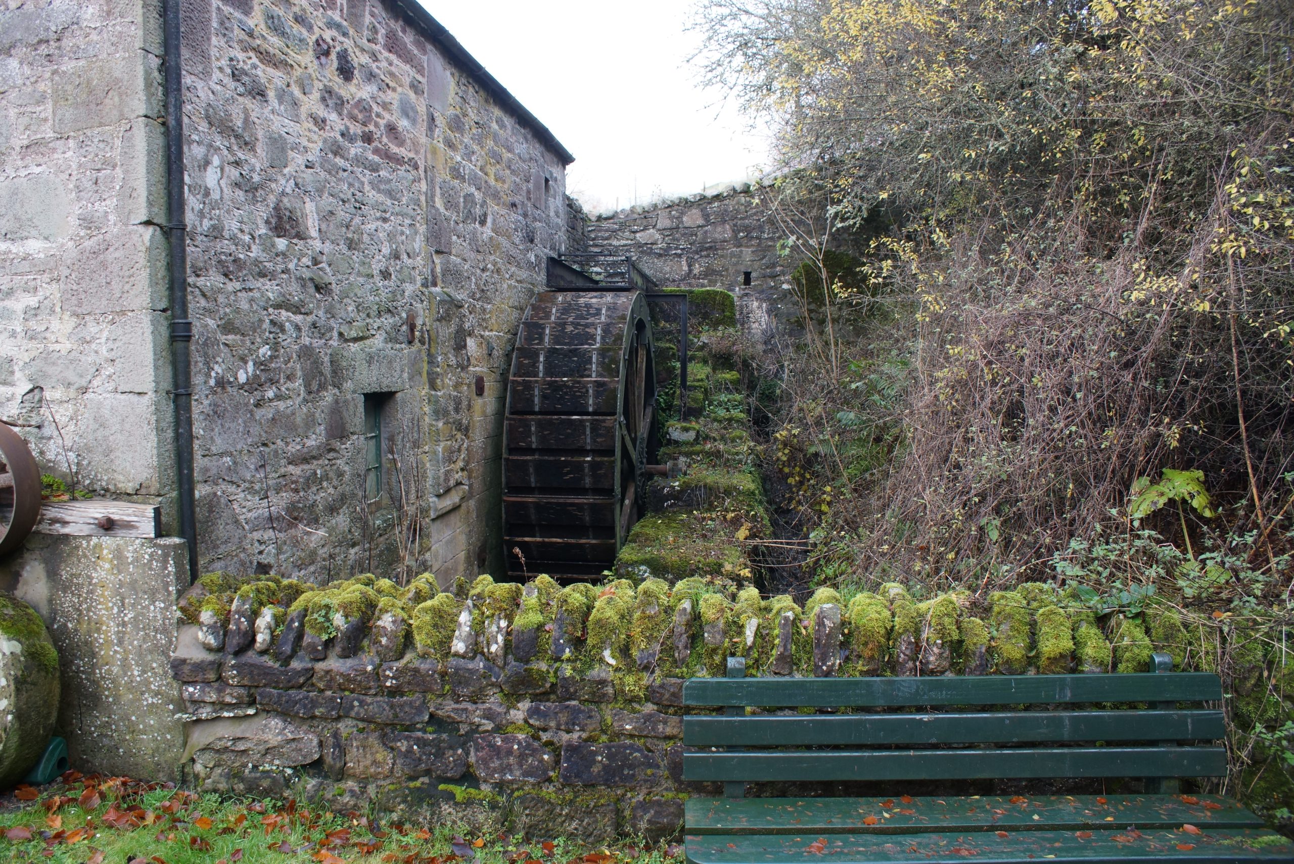 Our Policies - Mill of Benholm Enterprise