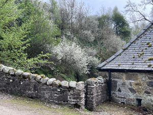 The Mill of Benholm - Mill of Benholm Enterprise